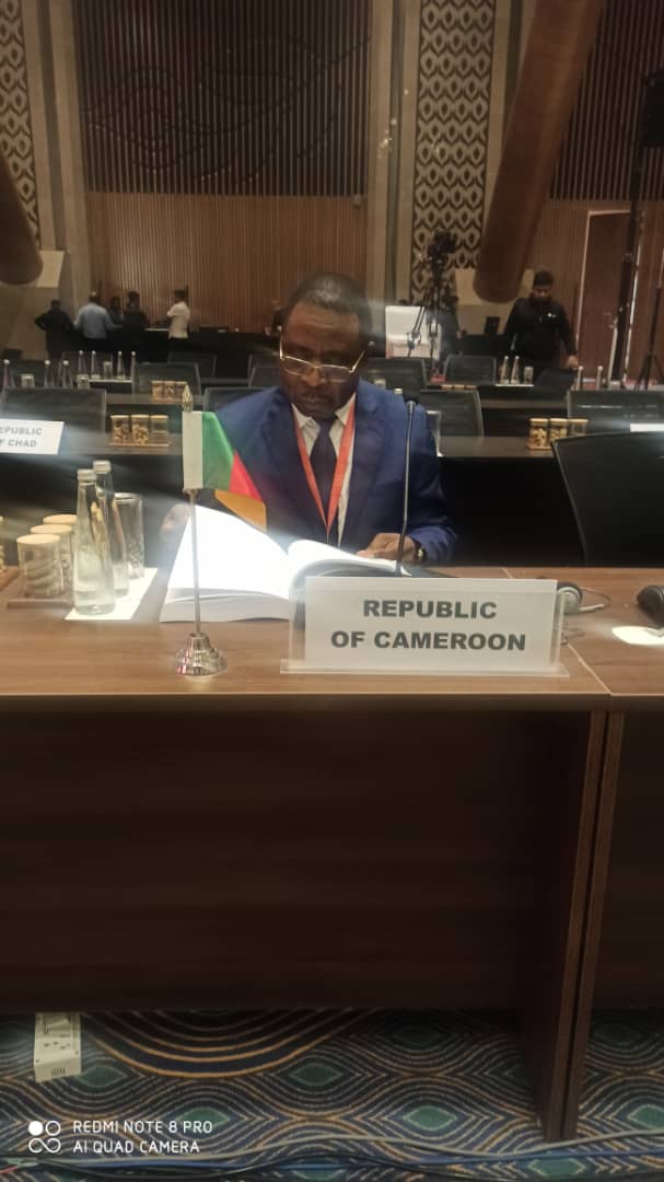 Le MINEE à NEW DELHI – MINEE